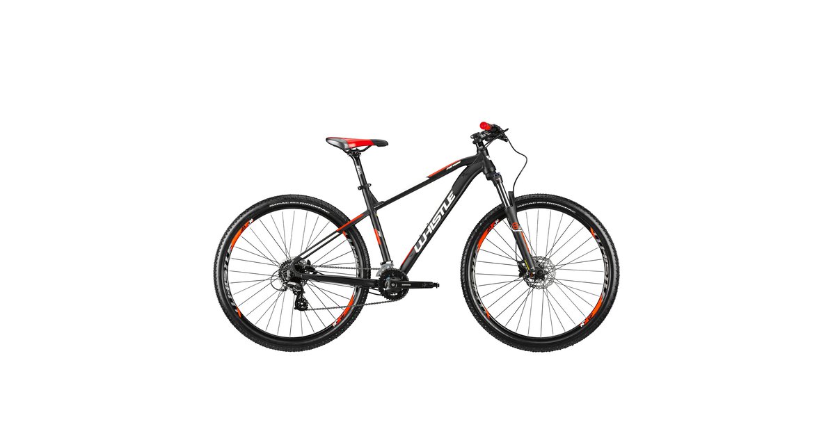 Whistle Patwin 2164 29 Zoll Mountainbike Hardtail Fahrrad MTB 29 ...