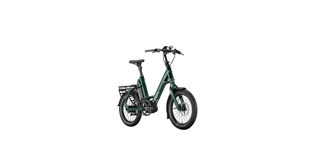Qio Eins P-R Rohloff 20 Pedelec E-Bike Compact Fahrrad forest grün 2024 ...