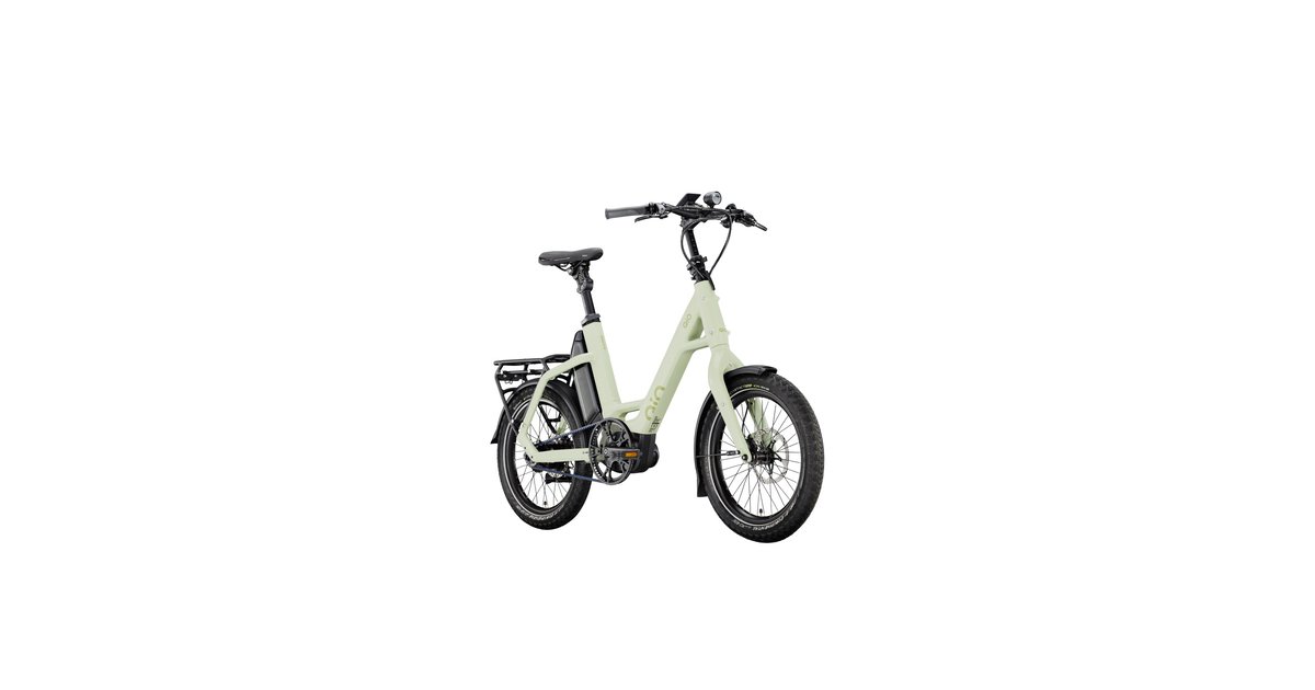 Qio Eins P-R Rohloff 20 Pedelec E-Bike Compact Fahrrad matt olive grün ...