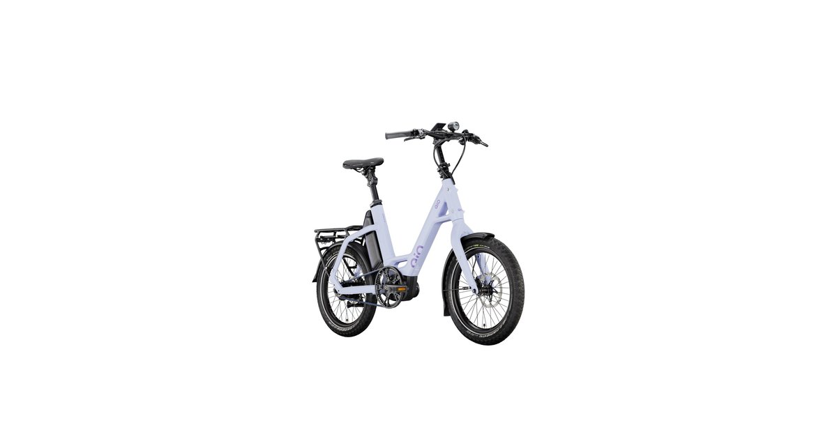 Qio Eins P-R Rohloff 20 Pedelec E-Bike Compact Fahrrad matt lila 2024 E ...