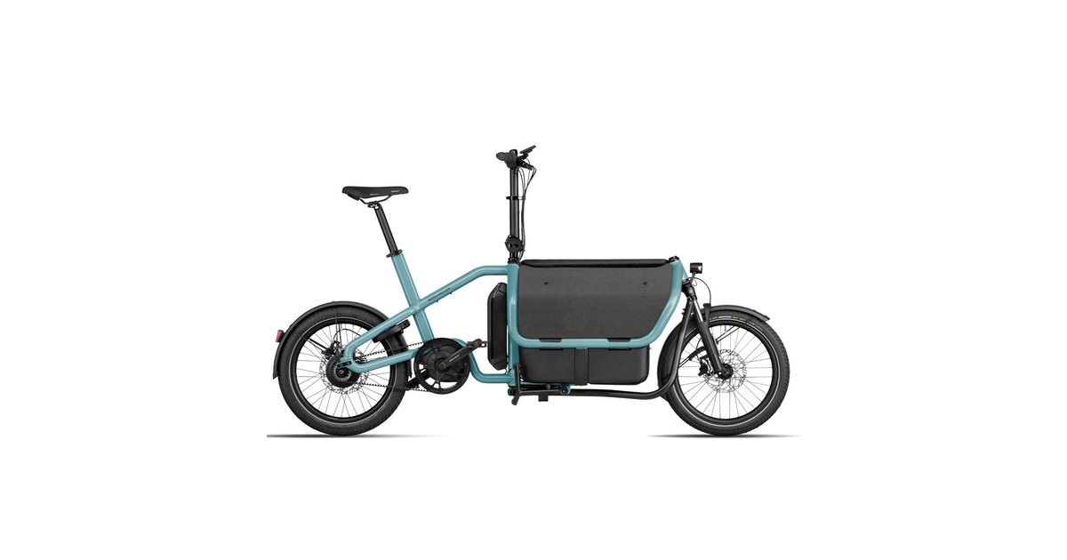 Riese und Müller Carrie vario - 20 Zoll 545Wh Enviolo Lastenrad - Aqua ...