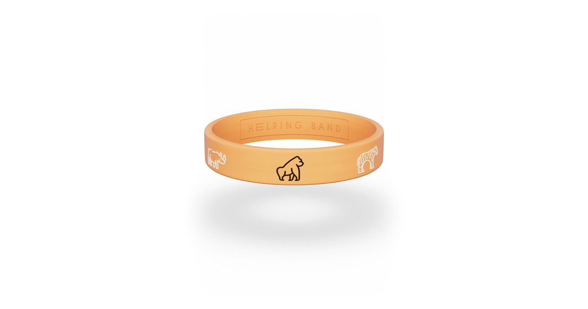 Helping Band The Big Five Armband