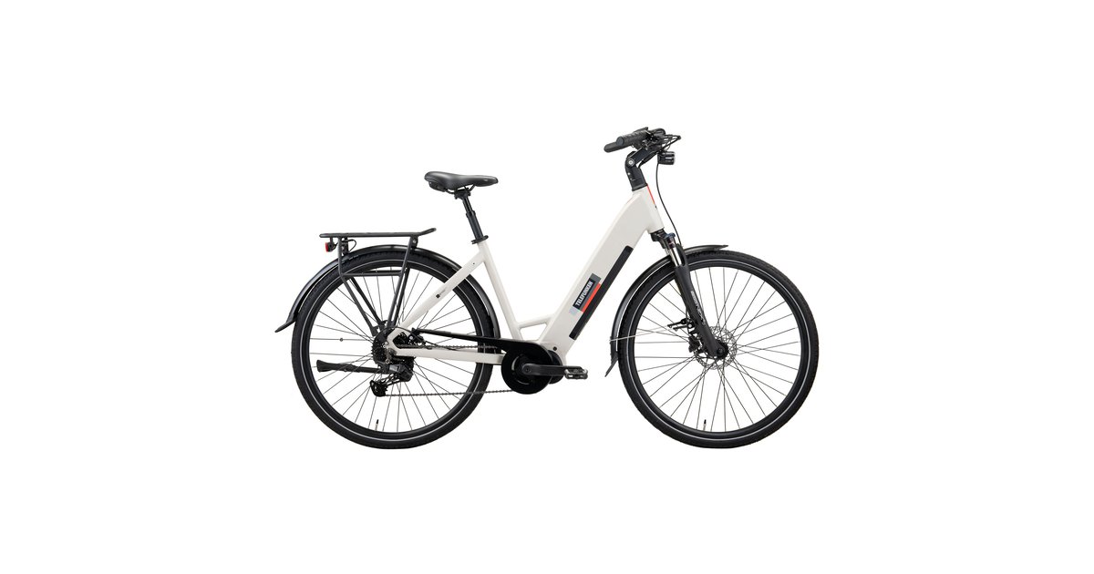 Telefunken E-Bike "Multitalent RC680", 10 Gang, Shimano, Mittelmotor ...
