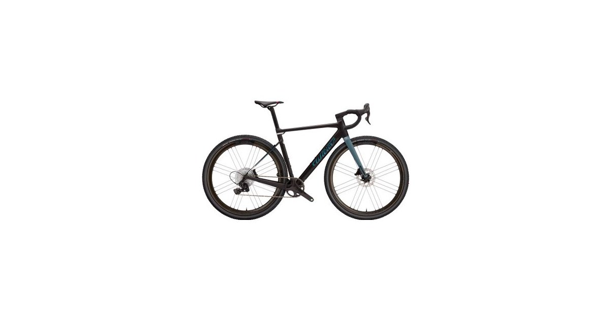 Wilier Triestina gravel bike rave slr campagnolo ekar 13v 700 mm ...