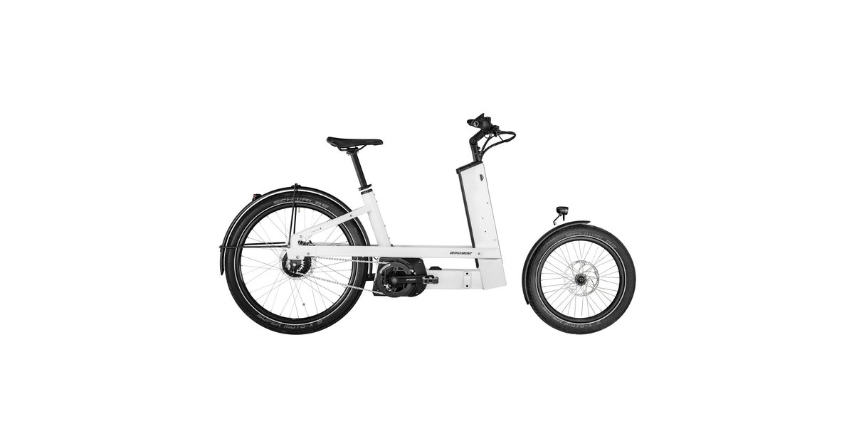 Bergamont E-Cargoville LJ Expert Custom Pedelec E-Bike Lastenrad ...