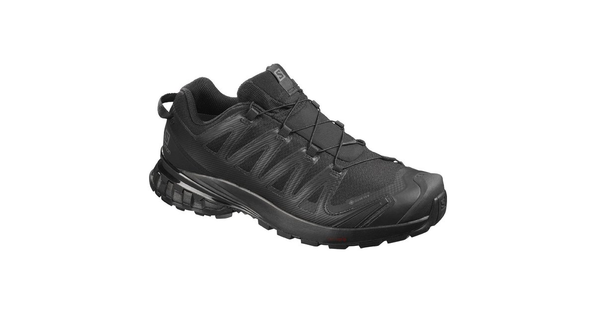 Salomon Herren XA Pro 3D V8 GTX Schuhe