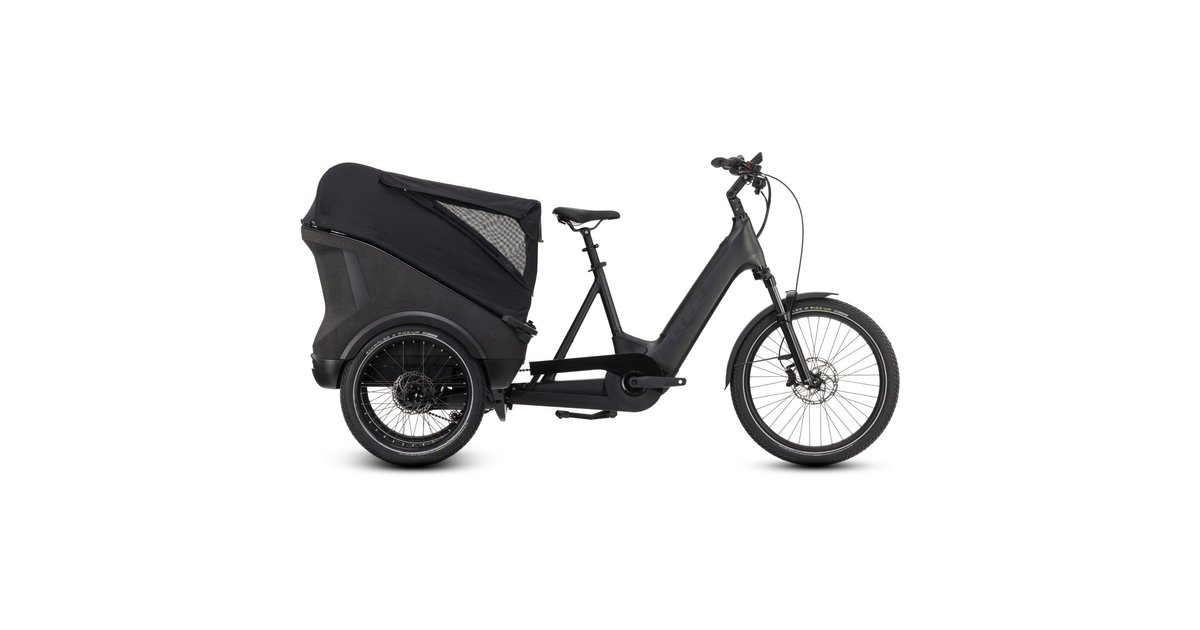 Cube Trike Hybrid Cargo 750 24 20 Pedelec E-Bike Dreirad Lastenrad grau 2025 E-Bikes