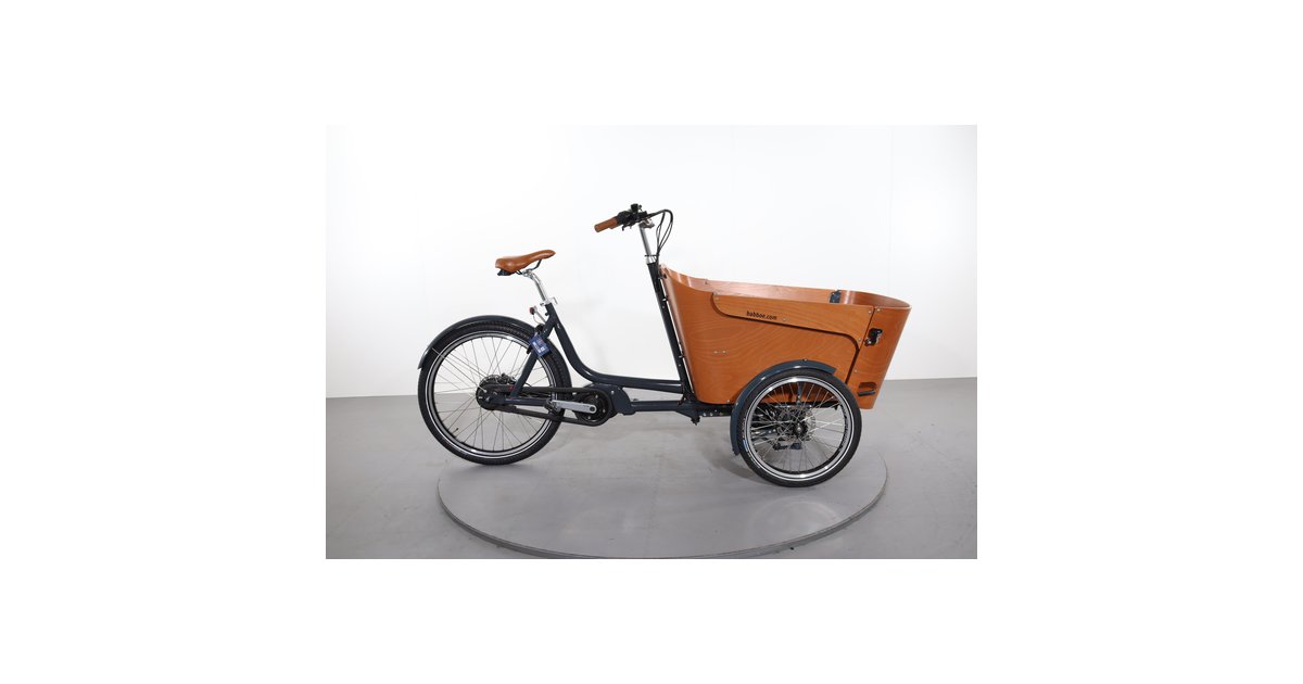 Babboe Flow Mountain