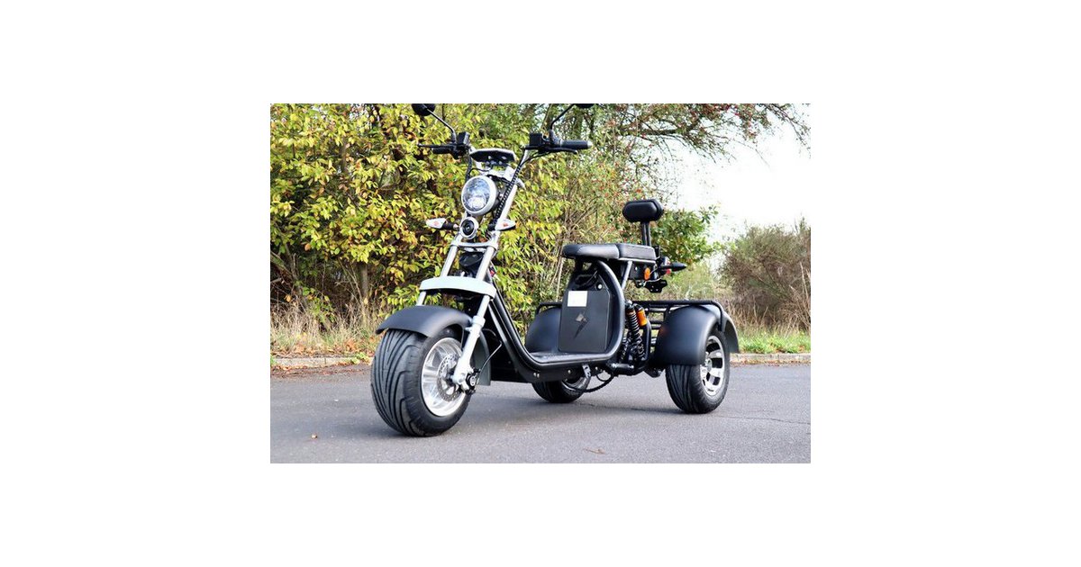 Tpfliving E-Scooter Coco Bike Fat Trike - Elektroroller -Akku: 1 x 60 ...
