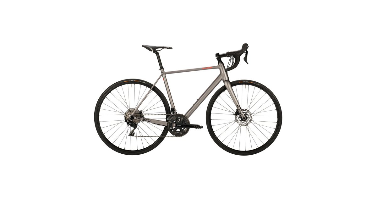 Carver Evolution 220 Disc Rennrad Grau Modell 2023