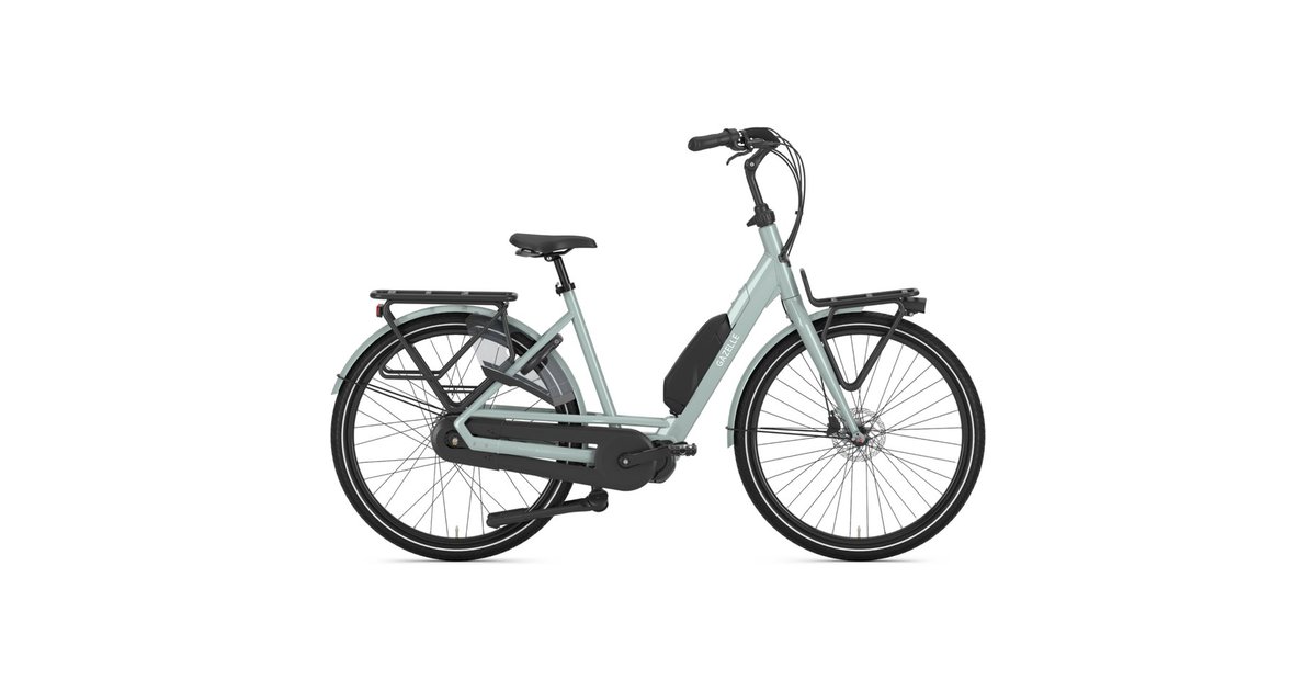 Gazelle Bloom C380 HMS E-Bike Grün Modell 2023