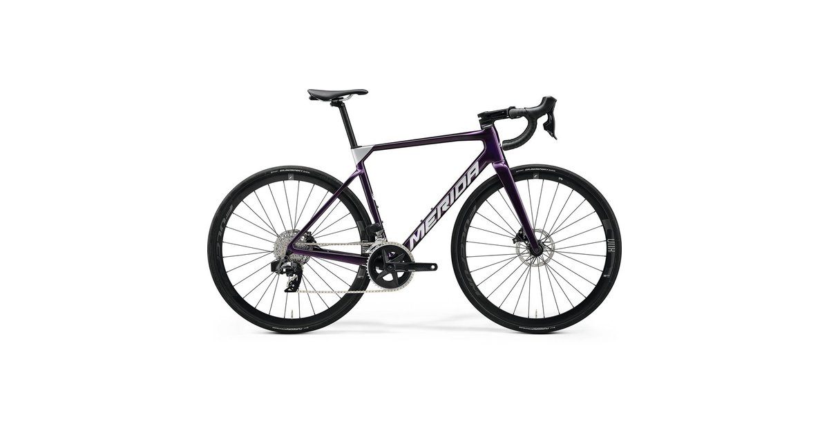Merida Scultura Rival Edition Rennrad Lila Modell 2023
