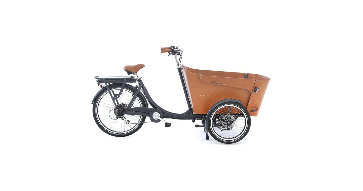 Babboe Carve-E Grau Modell 2022