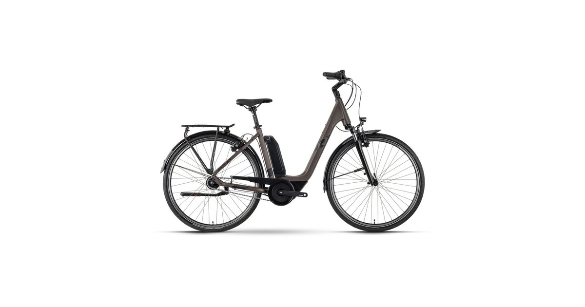 Raymon CityRay E 2.0 CB 400 E-Bike Grau Modell 2024